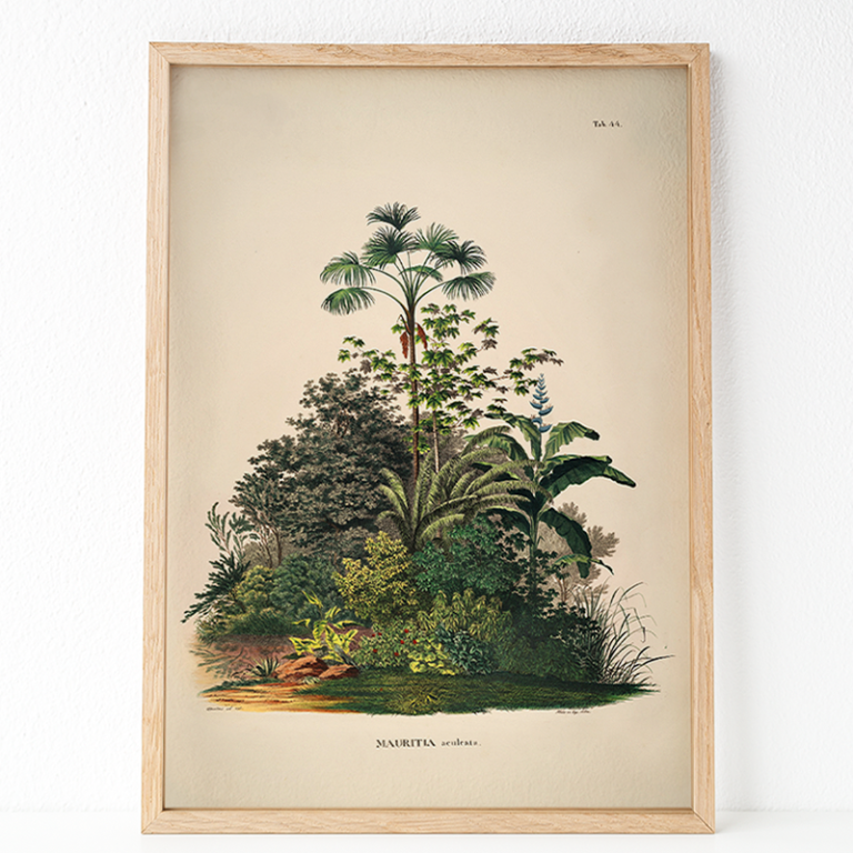 Vintage Ananas print May and Fay