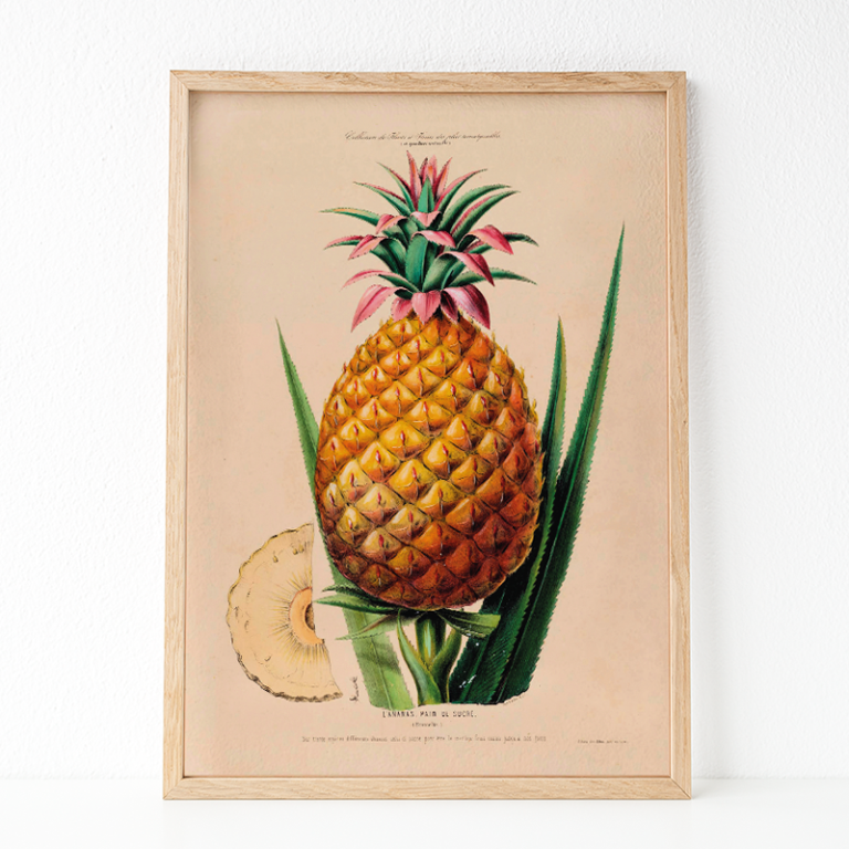 Vintage Ananas print May and Fay